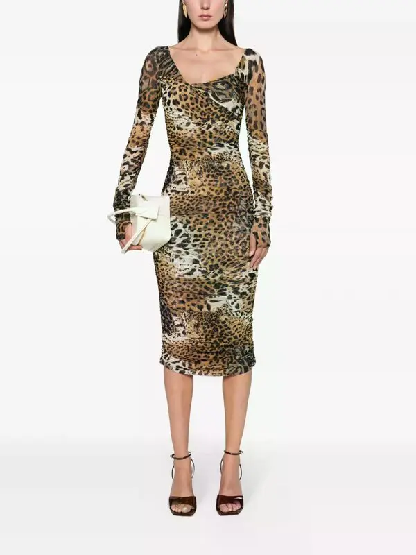 Roberto Cavalli Leopard-print Mesh Midi Dress