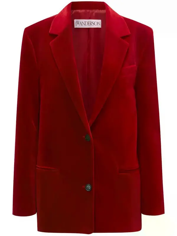 JW Anderson Floral-appliqué Velour Blazer