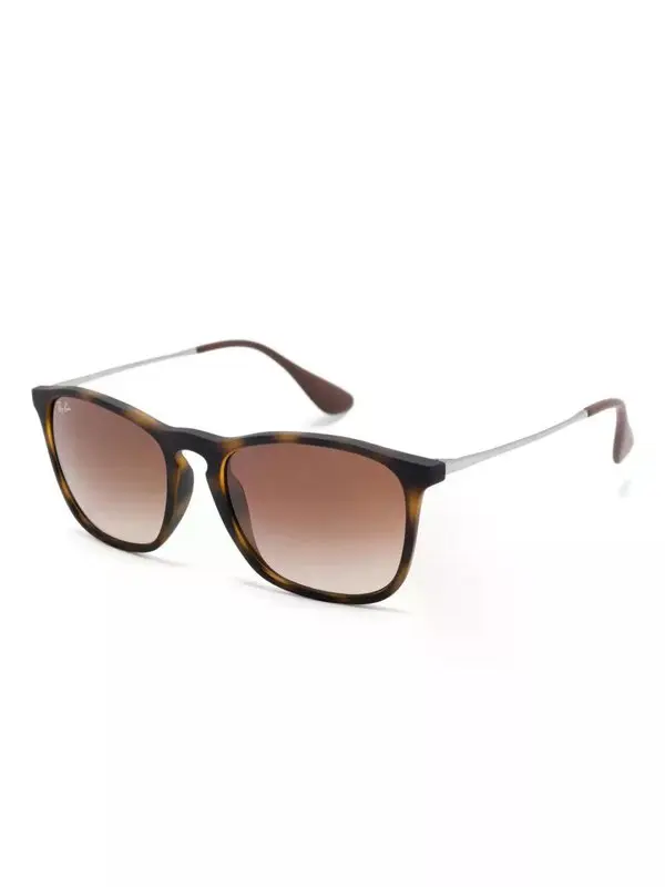 Ray-ban Chris Sunglasses - Brown