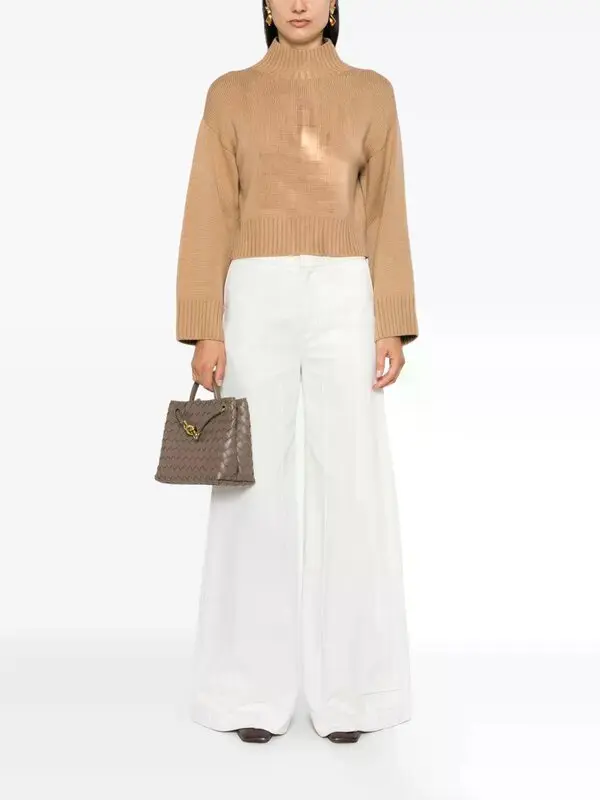 Fabiana Filippi Cropped Merino Wool Sweater