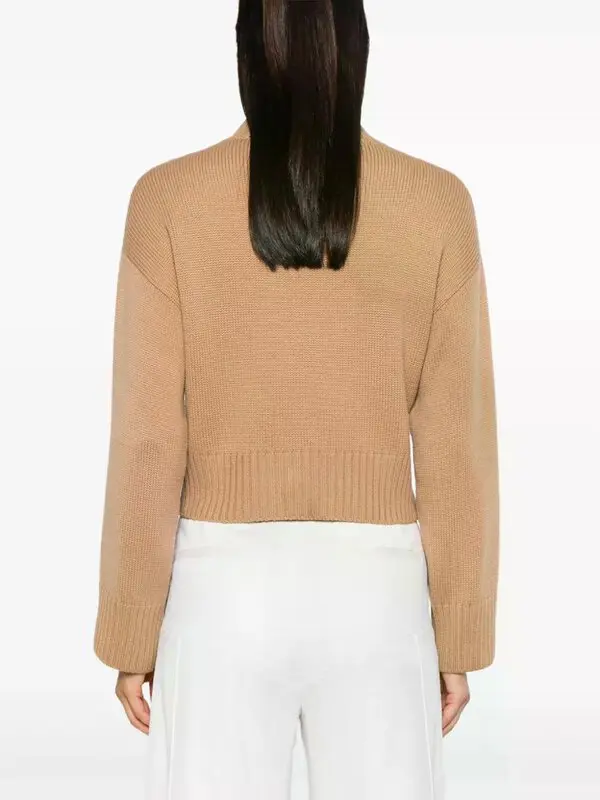 Fabiana Filippi Cropped Merino Wool Sweater