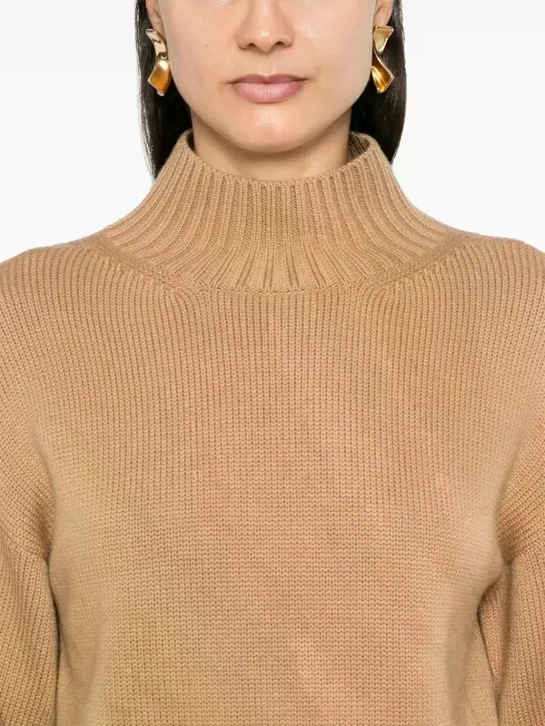 Fabiana Filippi Cropped Merino Wool Sweater