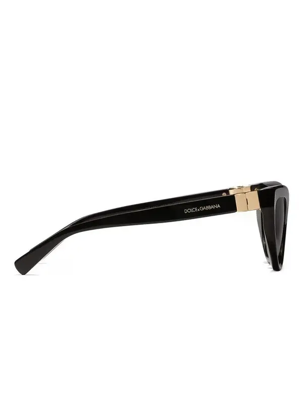 Dolce & Gabbana Dg Hinge Sunglasses