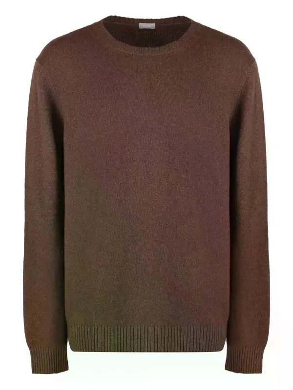 Malo Cashmere Crew Neck Sweater - Brown