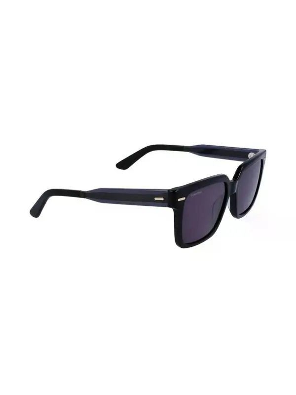 Calvin Klein Wayfarer Frame Sunglasses