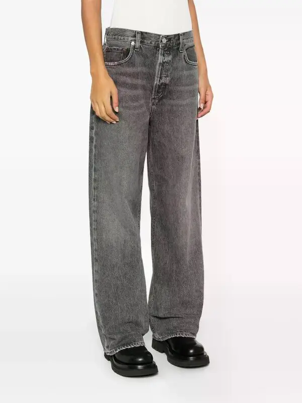 AGOLDE Low-rise Wide Leg Jeans
