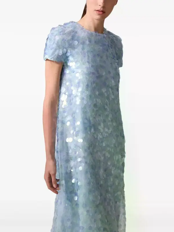 Carolina Herrera Sequinned Short-sleeve Gown