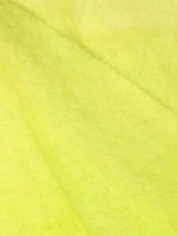 Acne Studios Fringed Scarf - Green