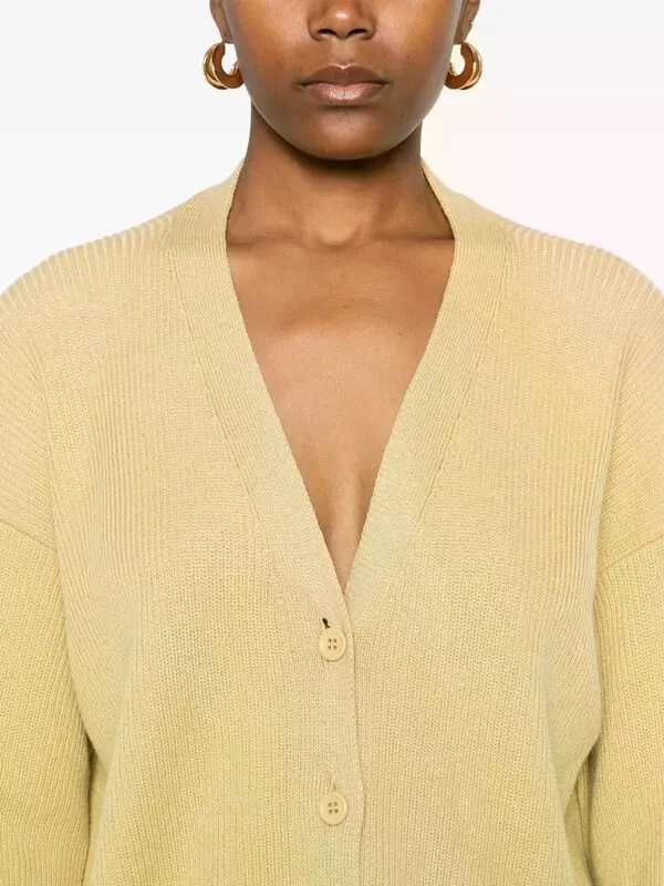 Fabiana Filippi V-neck Cardigan