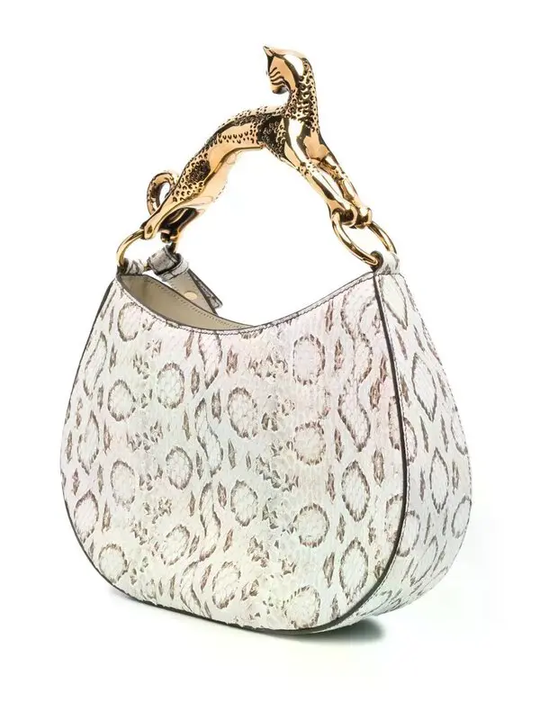 LANVIN Cheetah-print Tote Bag - Neutrals