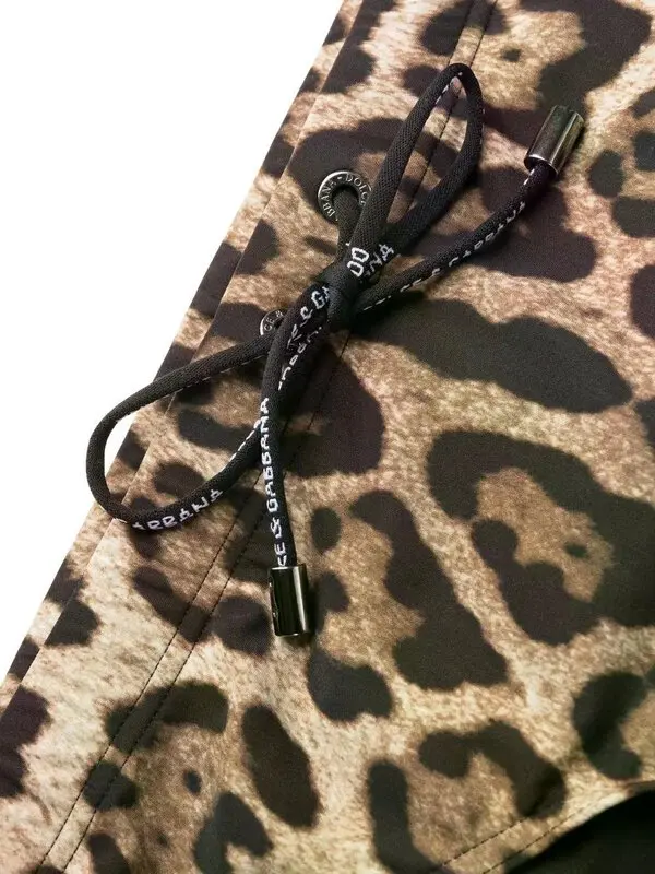Dolce & Gabbana Leopard Print Swim Briefs - Brown