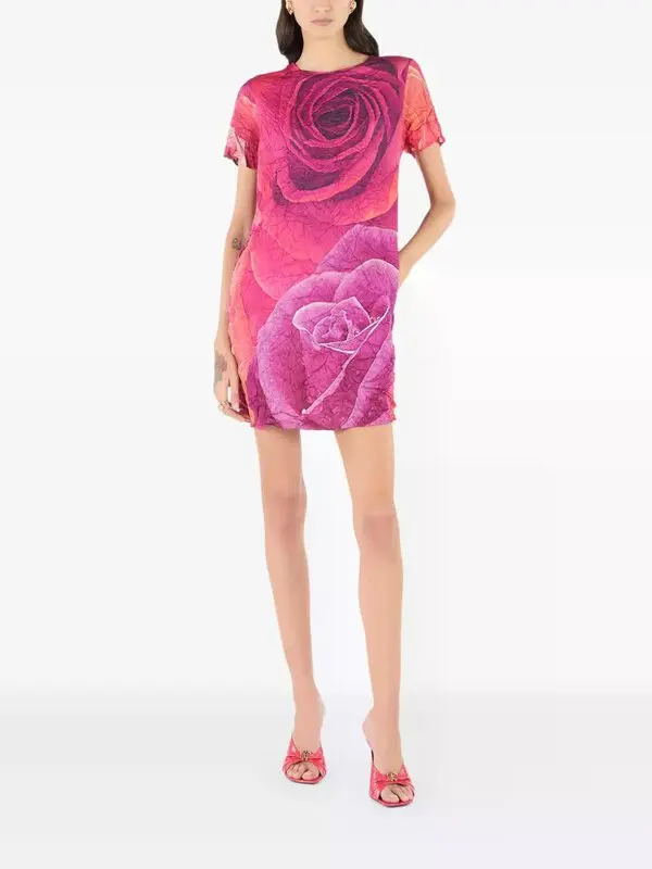 Roberto Cavalli Rose-print Mini Dress