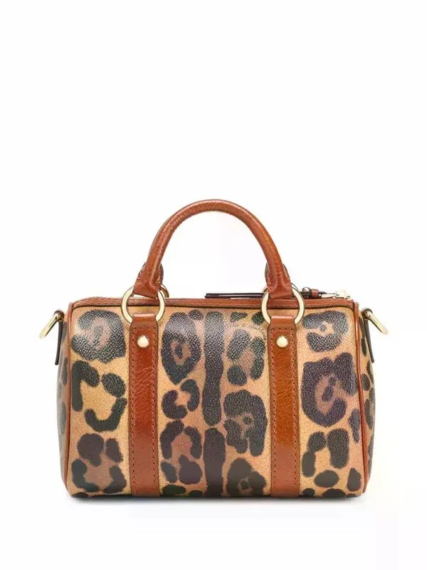 Dolce & Gabbana Small Crespo Leopard-print Satchel Bag - Brown