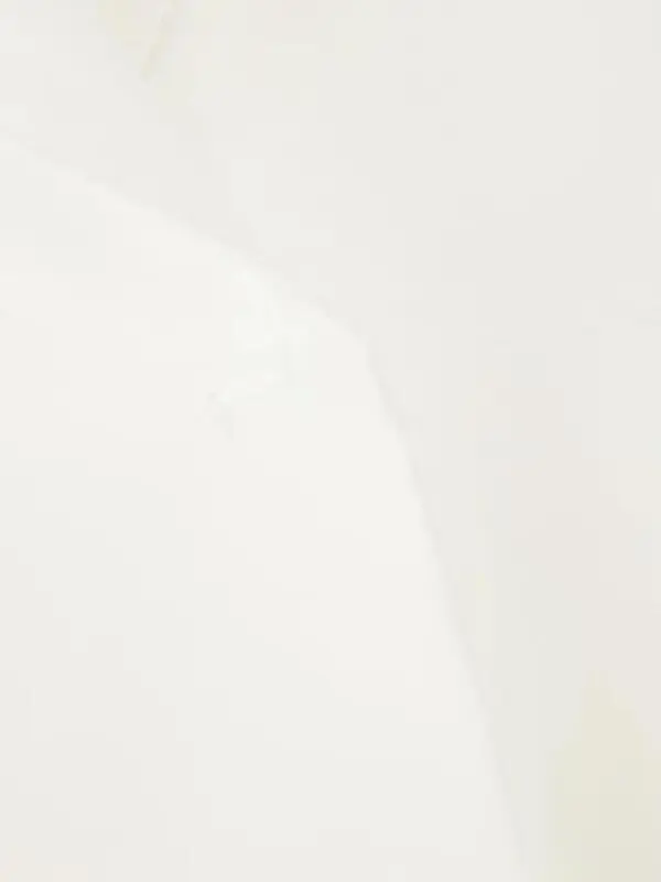 Sportmax Cotton Blazer