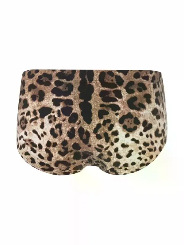 Dolce & Gabbana Leopard-print Swim Briefs - Brown