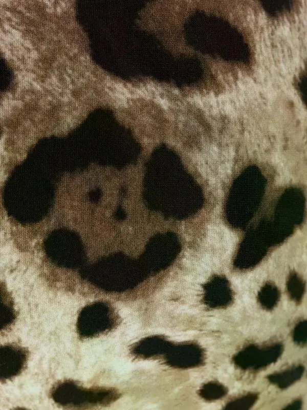 Dolce & Gabbana Leopard-print Swim Briefs - Brown