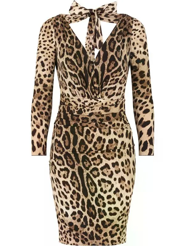Dolce & Gabbana Leopard-print Stretch-silk Dress