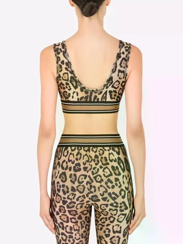 Dolce & Gabbana Leopard-print Crop Top