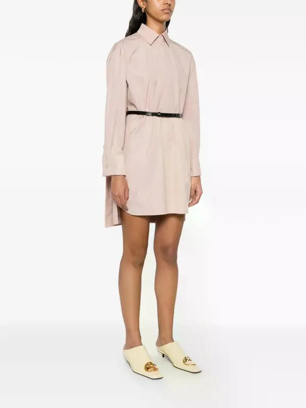 Max Mara Alcade Shirt Dress - Neutrals