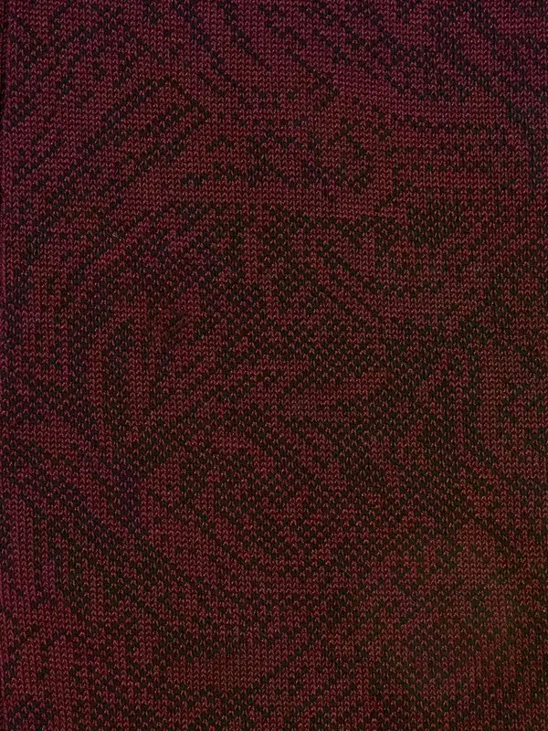 Etro Leafy Jacquard Socks - Red
