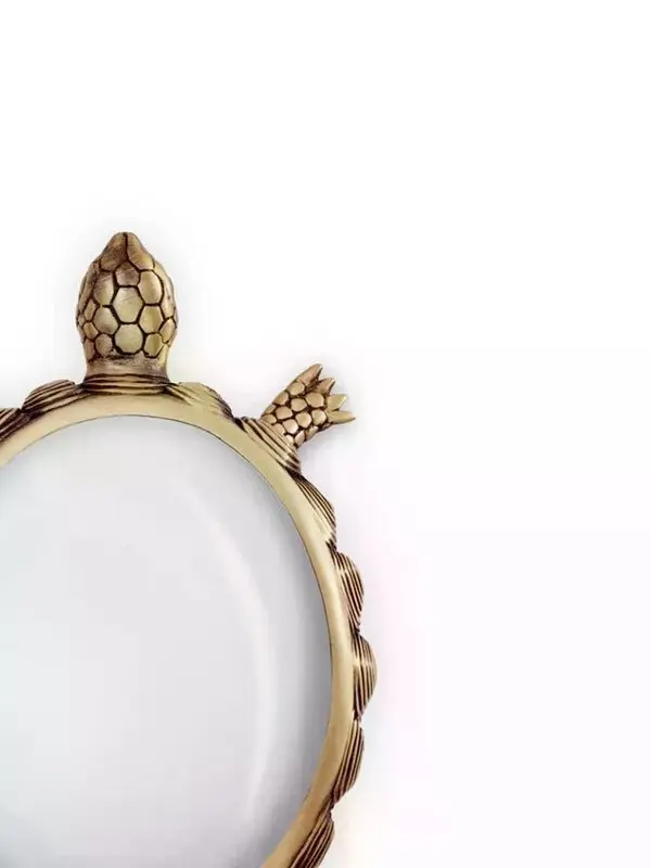L'Objet Turtle Magnifying Glass