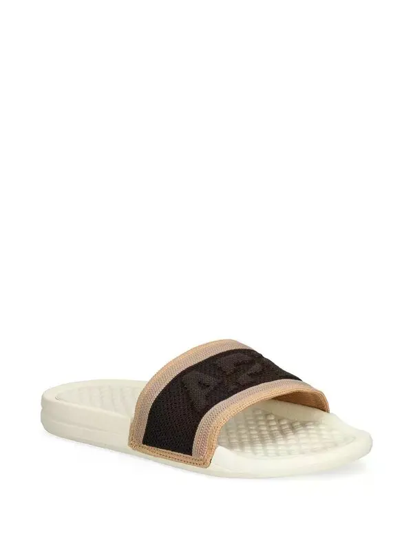 Apl Big Logo Techloom Slides - Brown