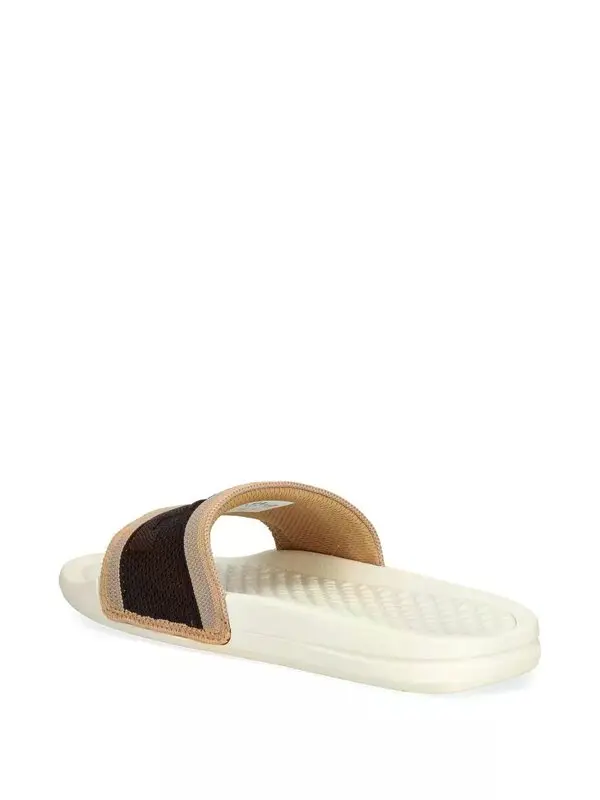 Apl Big Logo Techloom Slides - Brown