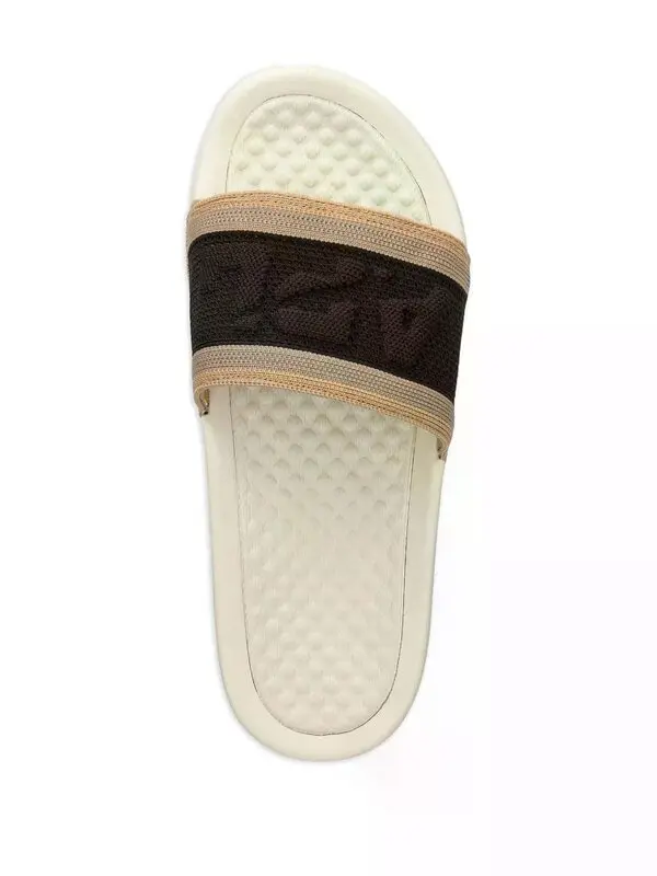 Apl Big Logo Techloom Slides - Brown