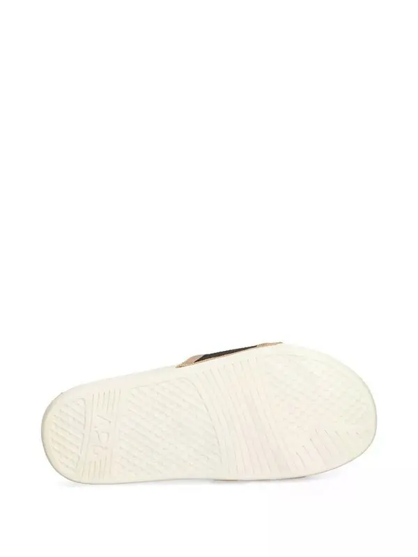 Apl Big Logo Techloom Slides - Brown