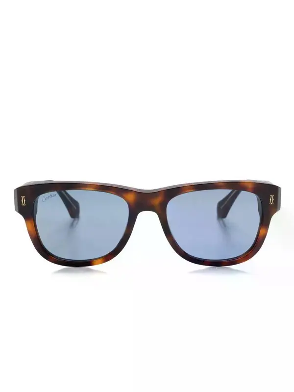 Cartier Ct0277s Wayfarer Sunglasses - Brown