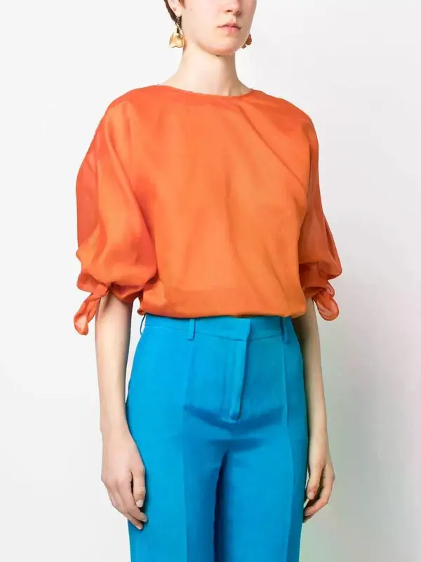 Alberta Ferretti V-back Long-sleeve Blouse