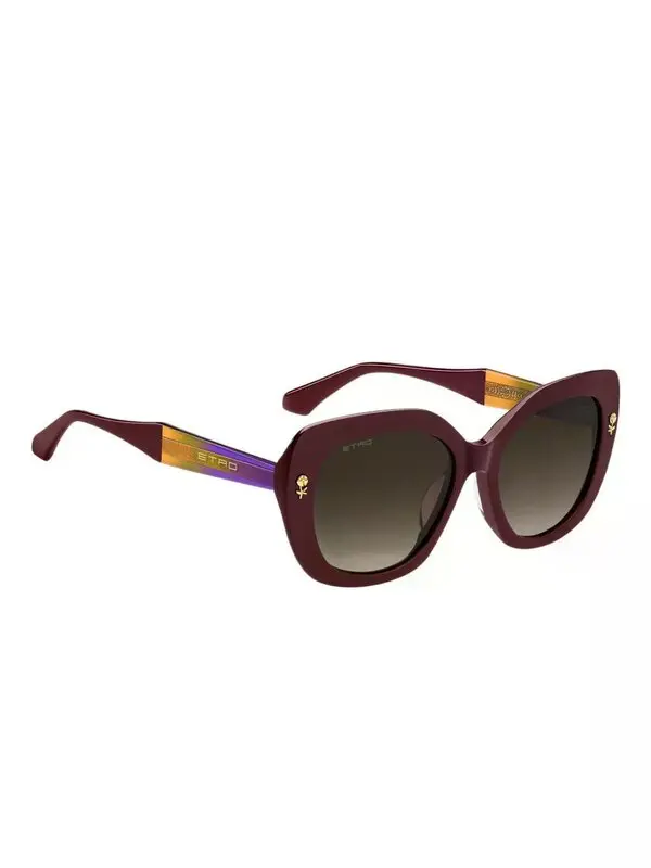 Etro Striped Sunglasses - Red
