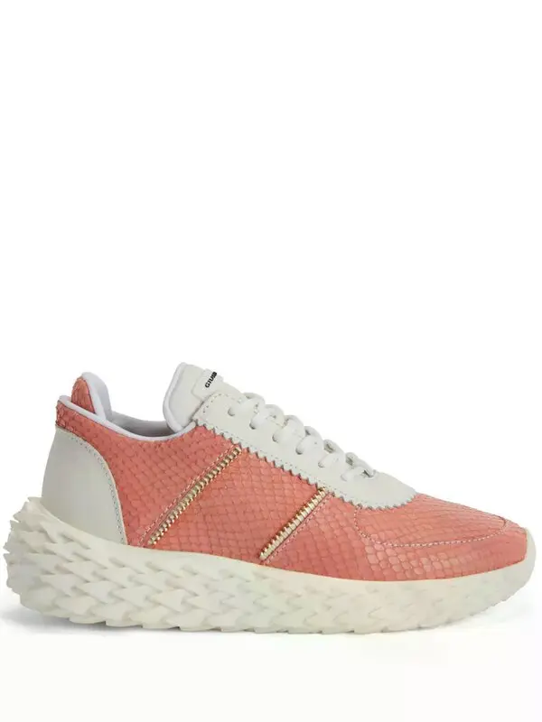 GIUSEPPE ZANOTTI Urchin Sneakers - Orange