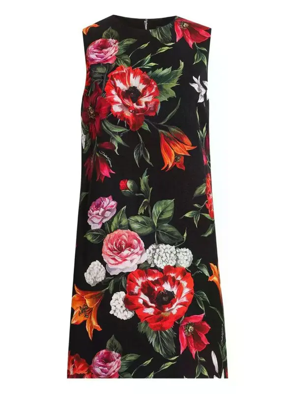 Dolce & Gabbana Floral-print Mini Dress