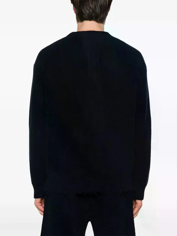 Alanui Crew Neck Sweater