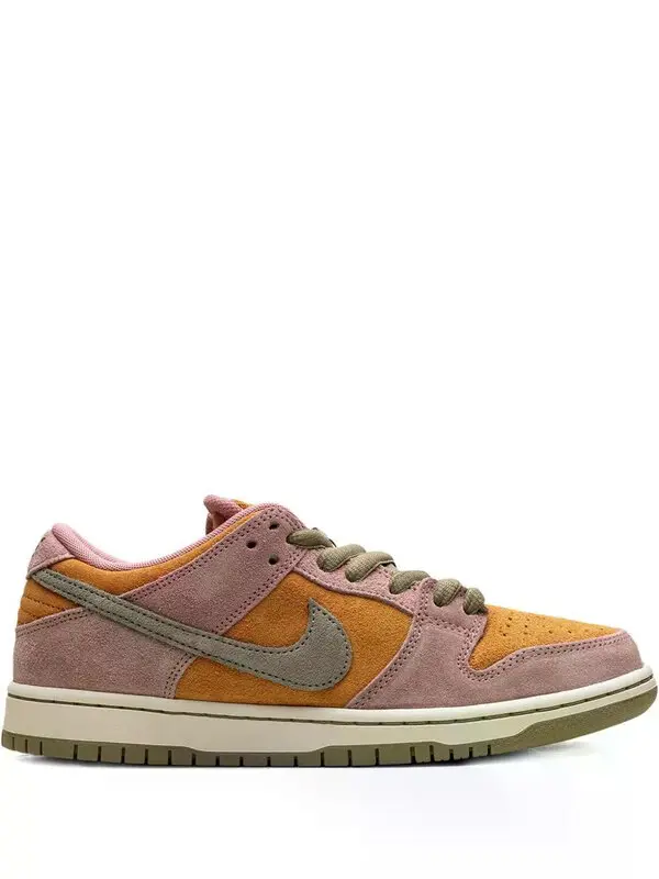 Nike Dunk Low Sb Sneakers - Brown