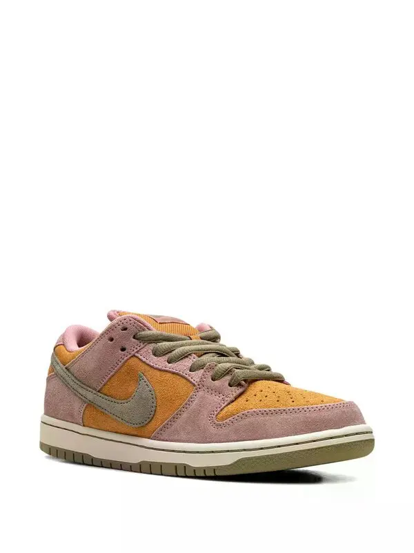 Nike Dunk Low Sb Sneakers - Brown