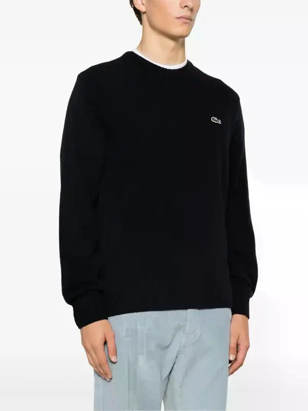 Lacoste Wool Crew-neck Sweater - Blue