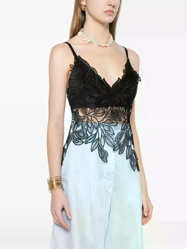 Alberta Ferretti Guipure-lace Top