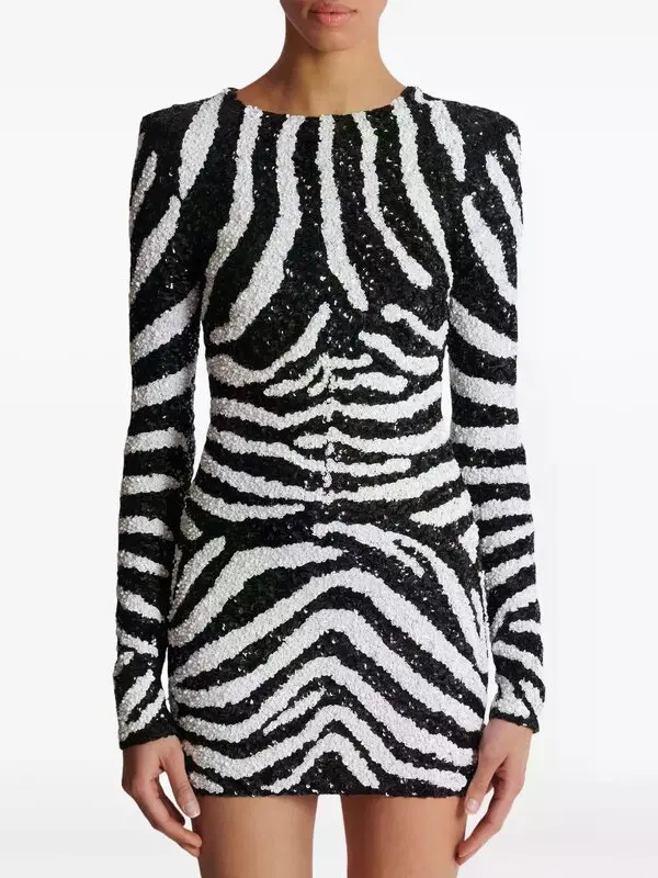 Balmain Zebra-pattern Sequin-embellished Dress