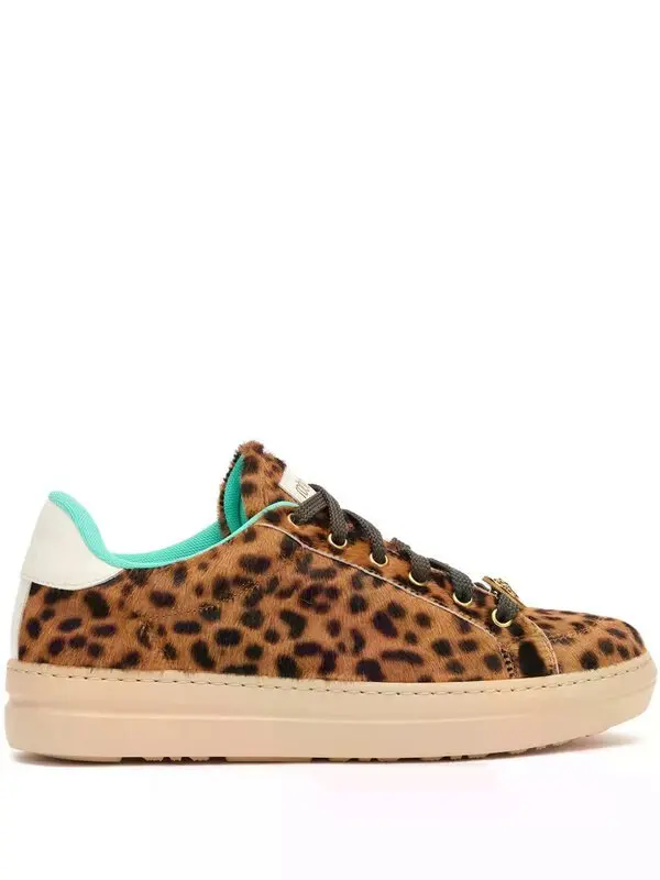 Roberto Cavalli Leopard-print Sneakers