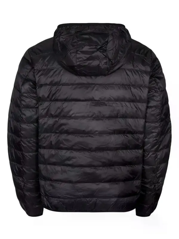 EA7 Logo-print Padded Jacket
