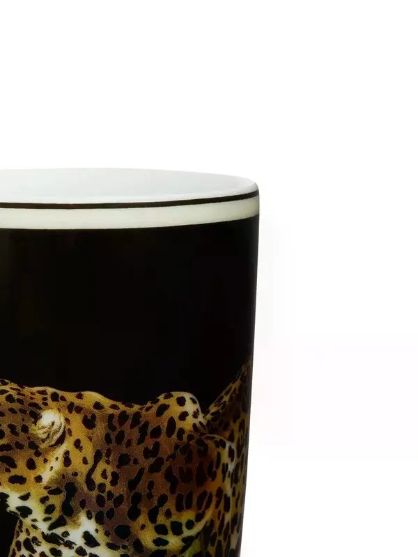 Dolce & Gabbana Tiger-print Porcelain Glass