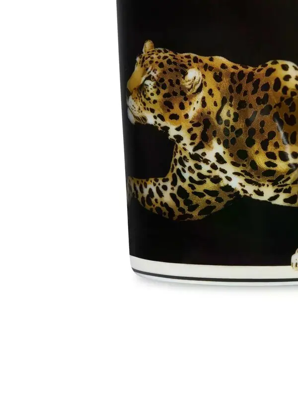 Dolce & Gabbana Tiger-print Porcelain Glass