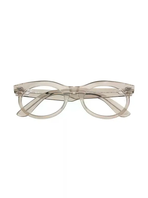Ray-ban Wayfarer Oval-frame Glasses