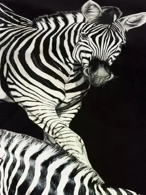 Dolce & Gabbana Zebra-print Silk Quilt Blanket