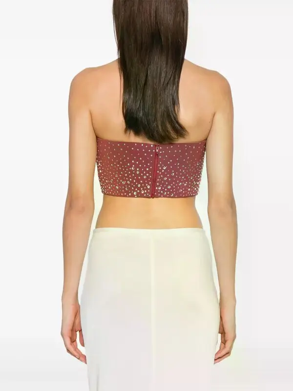 Alex Perry Crystal-embellished Bandeau Top