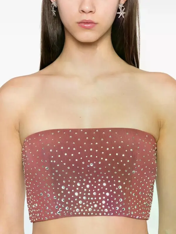 Alex Perry Crystal-embellished Bandeau Top