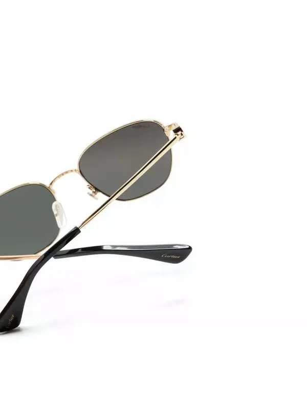Cartier Ct0469s Butterfly-frame Sunglasses