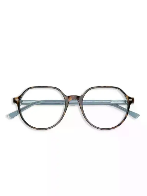 Ray-ban Hexagonal Sunglasses With Protective Case